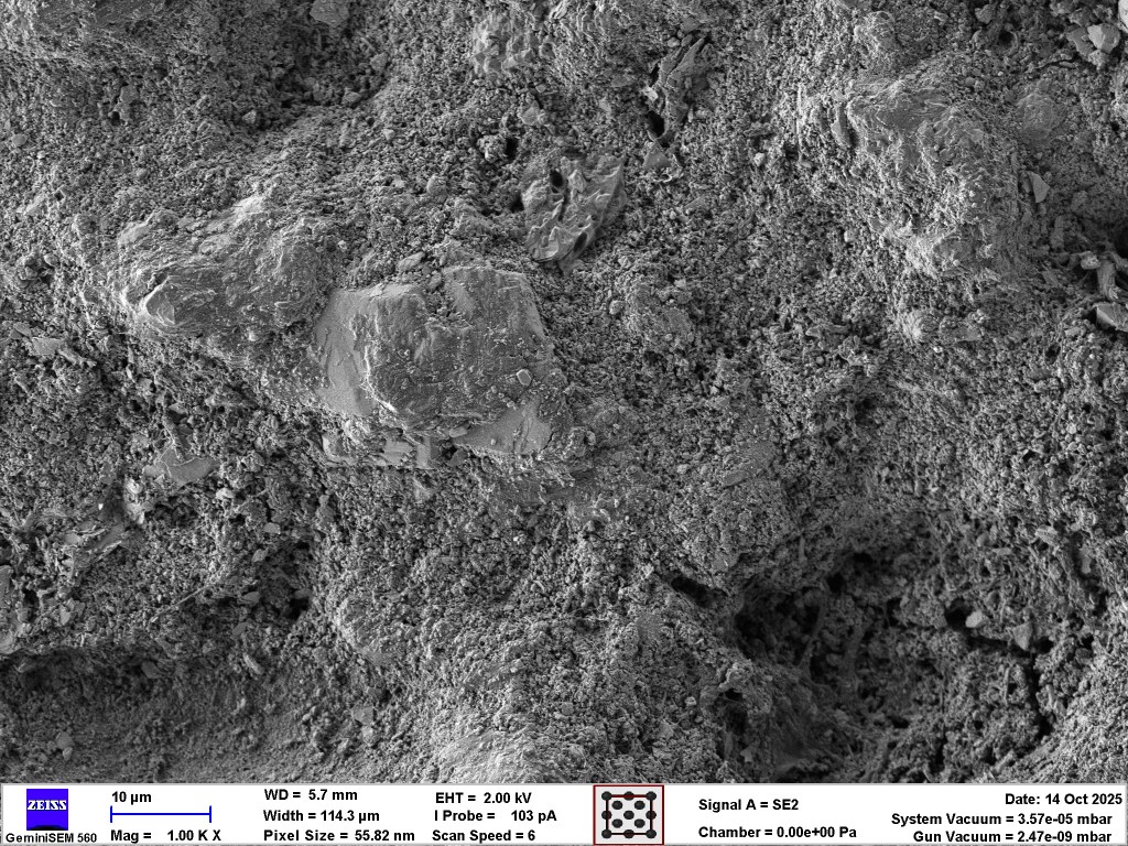 Shapton Pro Whetstone Review: Is It Worth the Hype?